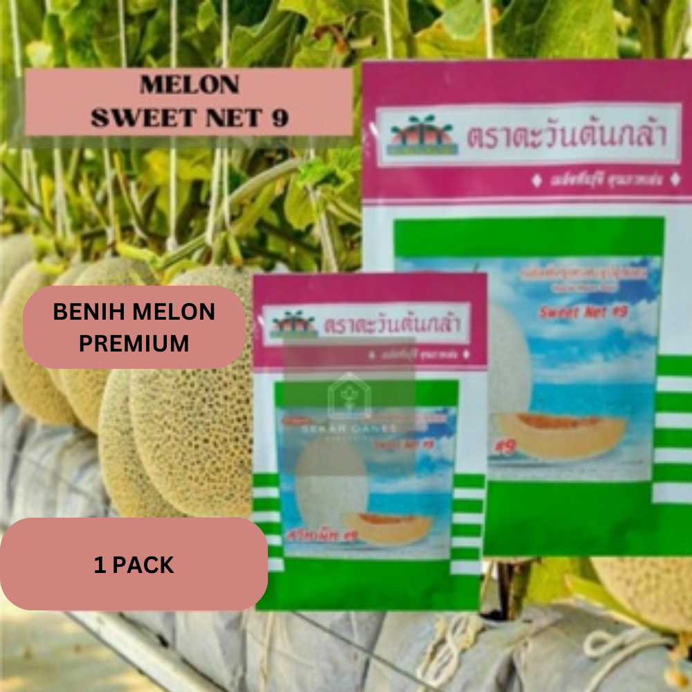 Jual ORi Bijih benih Melon Sweet Net 9 - Kemasan Asli 10 gram Bibit ...