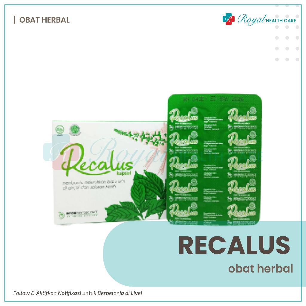 Jual RECALUS KAPSUL Membantu Meluruhkan Batu Urin di Ginjal | Shopee ...