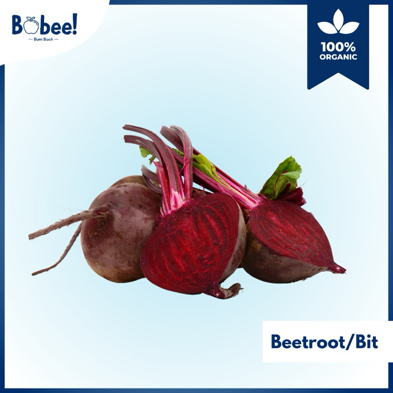 Jual Buah Bit/Beetroot Super Lokal Fresh & Premium | Bobee.official ...