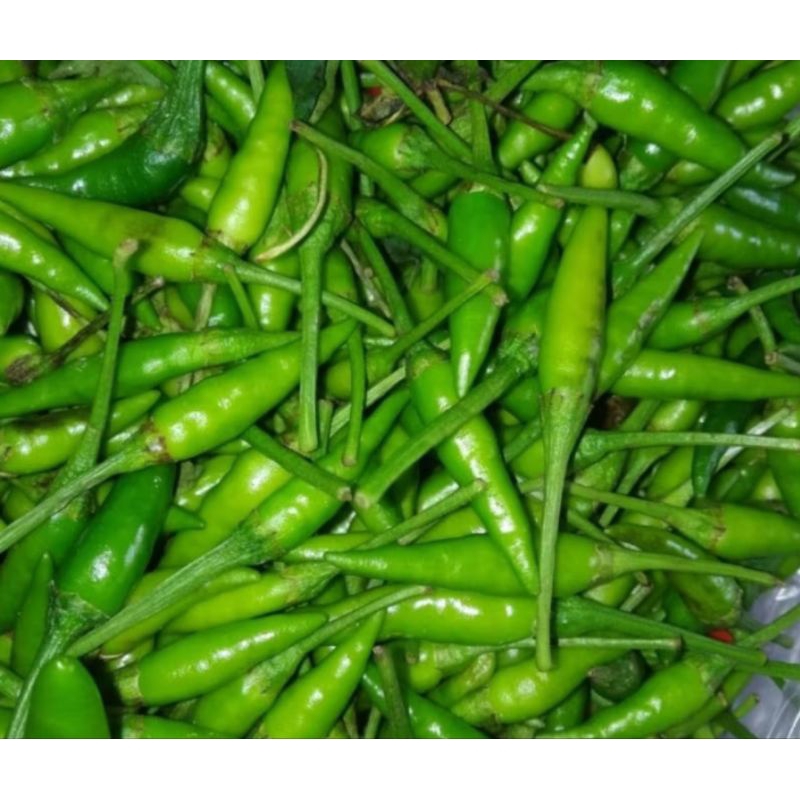 Jual cabe rawit ijo | Shopee Indonesia