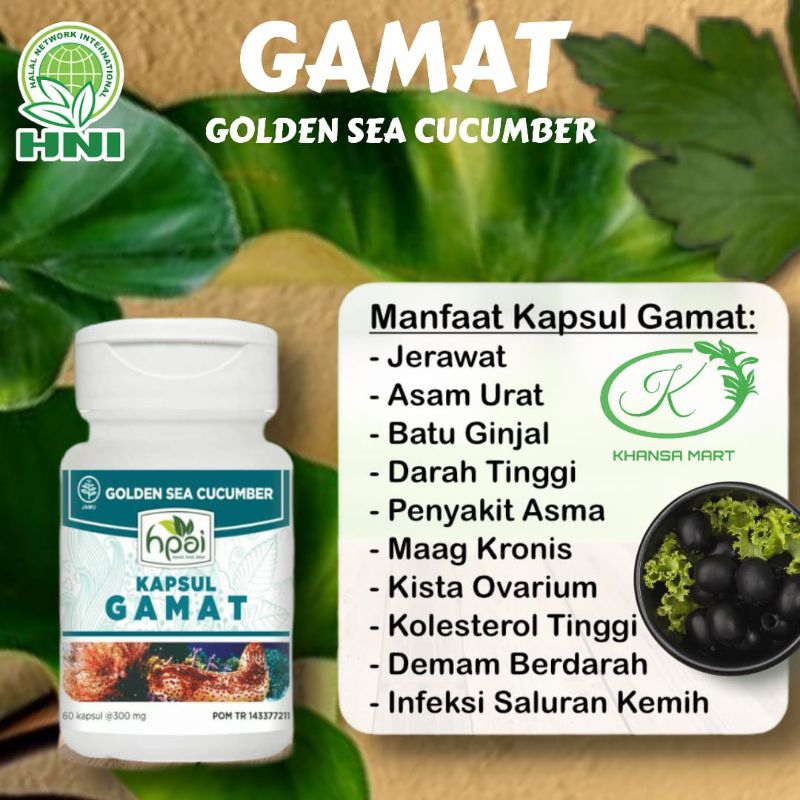 Jual GAMAT KAPSUL HNI HPAI | Shopee Indonesia