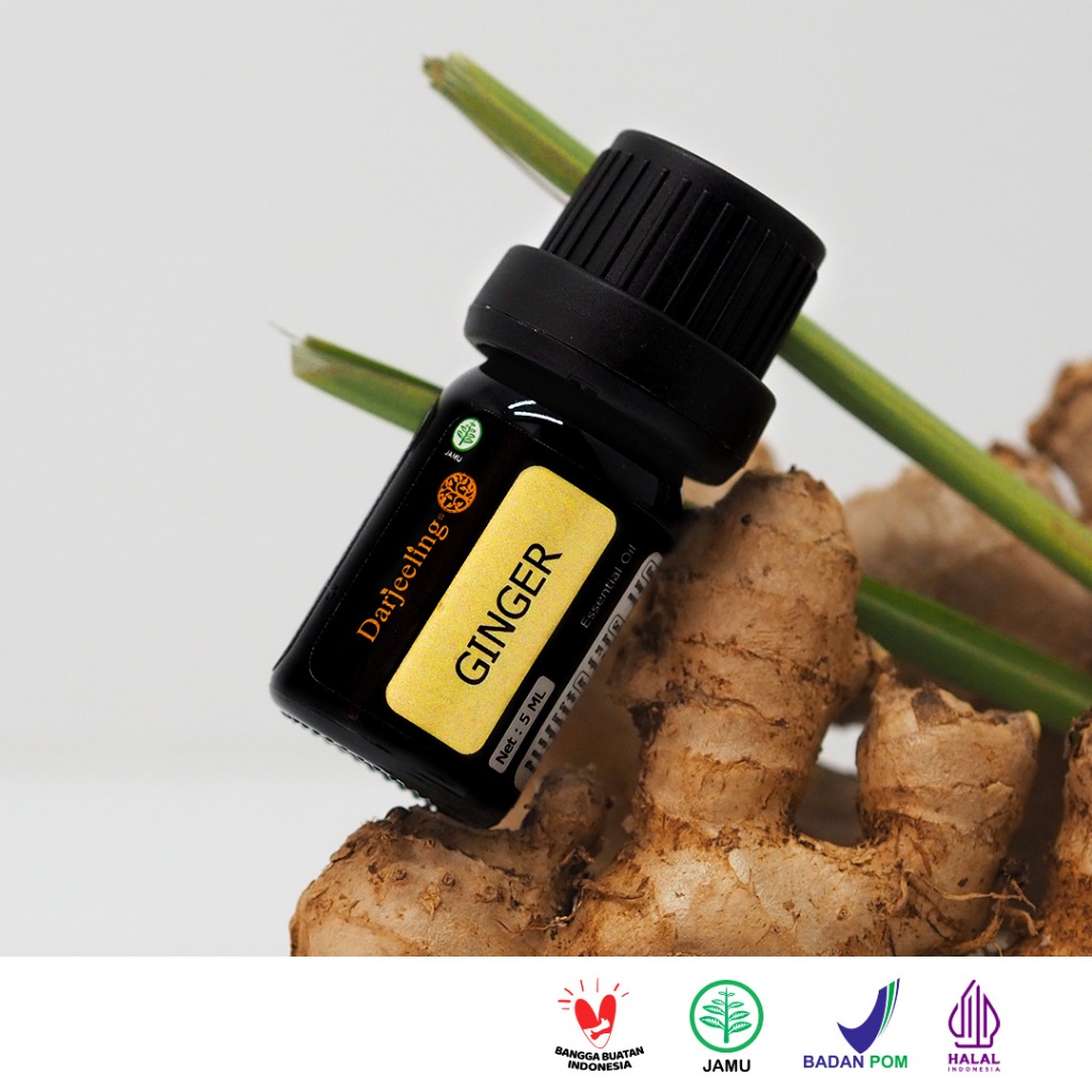 Jual Darjeeling Ginger Pure Essential Oil / Minyak Jahe Aromaterapi ...