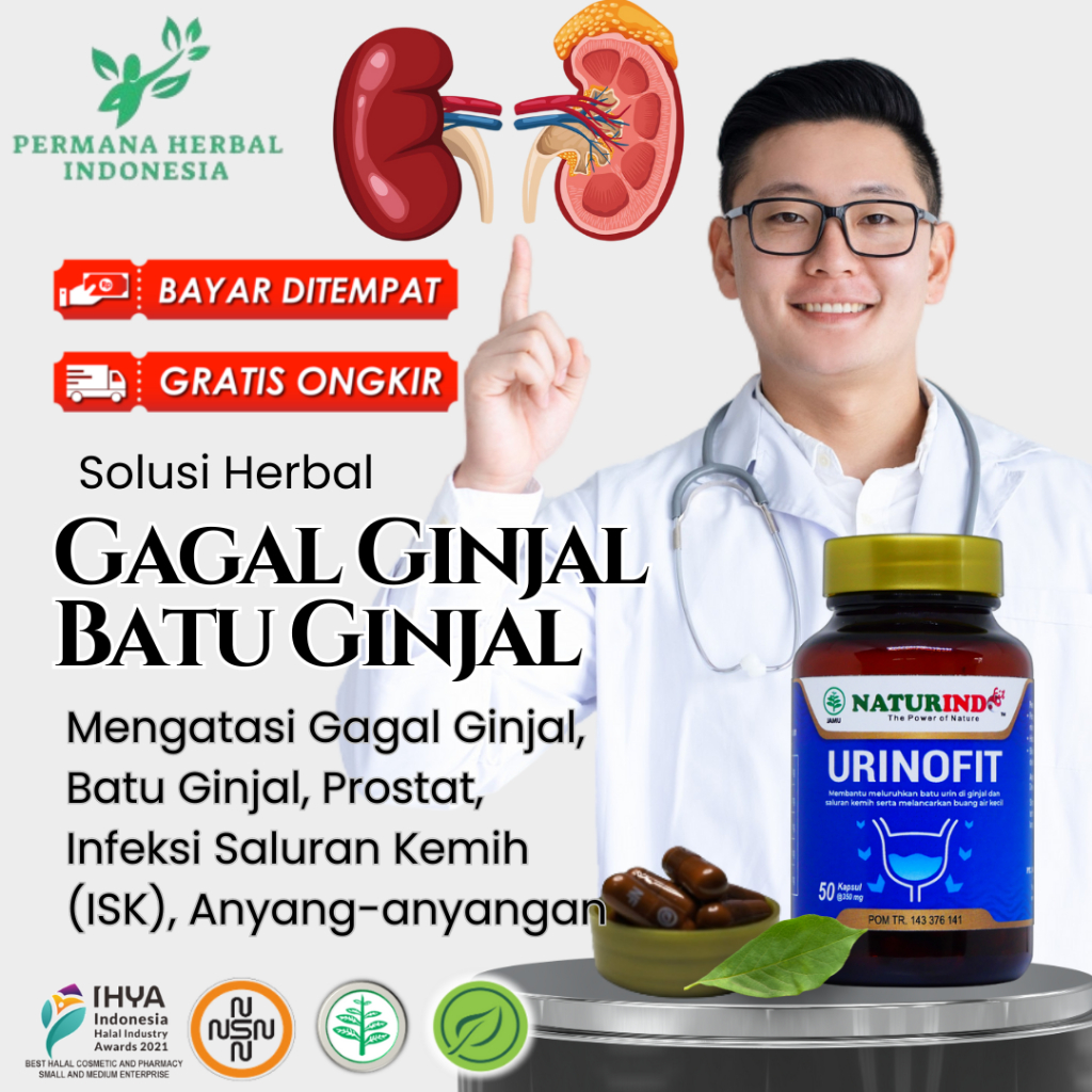 Jual Naturindo Obat Gagal Ginjal Paling Ampuh Batu Ginjal Infeksi Saluran Kemih Anyang-anyangan ...