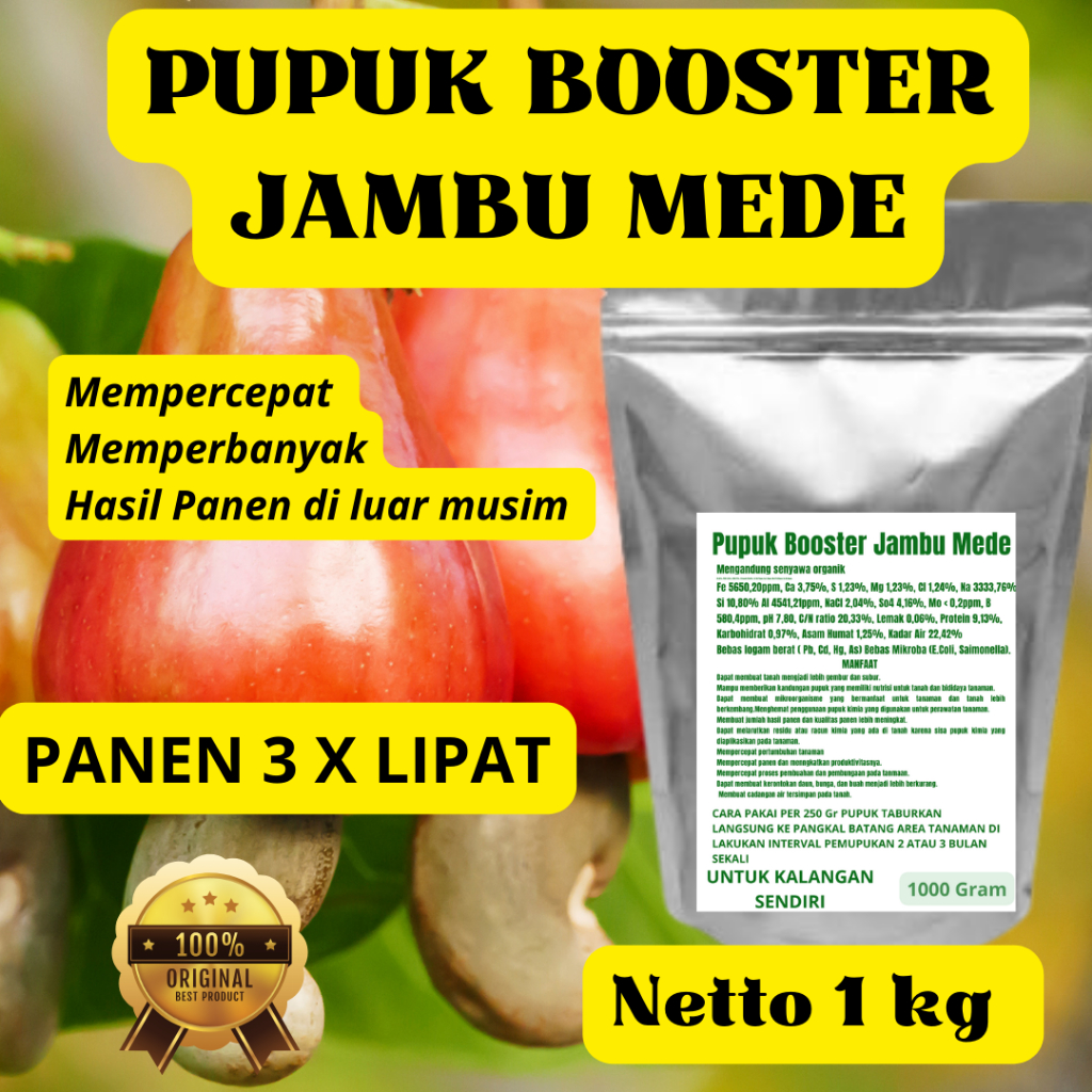 Jual Pupuk organik booster perangsang dan pelebat buah Jambu Mede agar cepat berbuah tidak mudah ...
