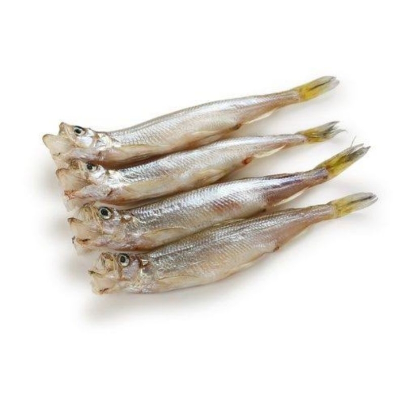 Jual ikan capelin komochi shisamo fish telur telor frozen beku ikan ...