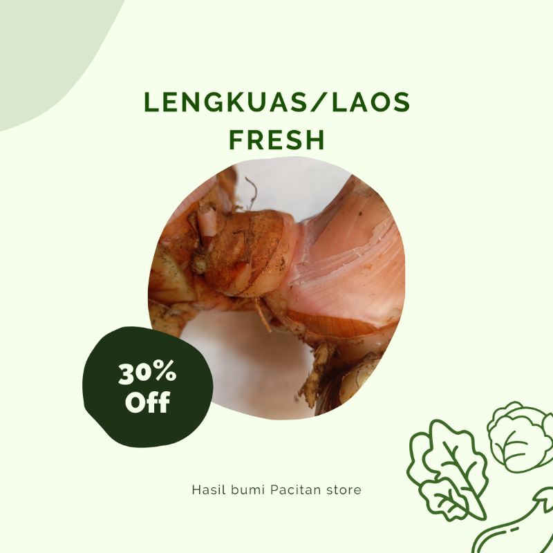 Jual Lengkuas/Laos Fresh dari kebun 1kg | Shopee Indonesia