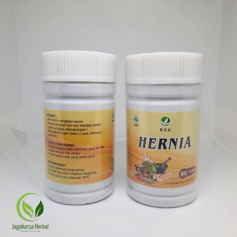 Jual Kapsul Herbal Obat Hernia Turun Beruk | Kapsul Eza HERNIA Original ...