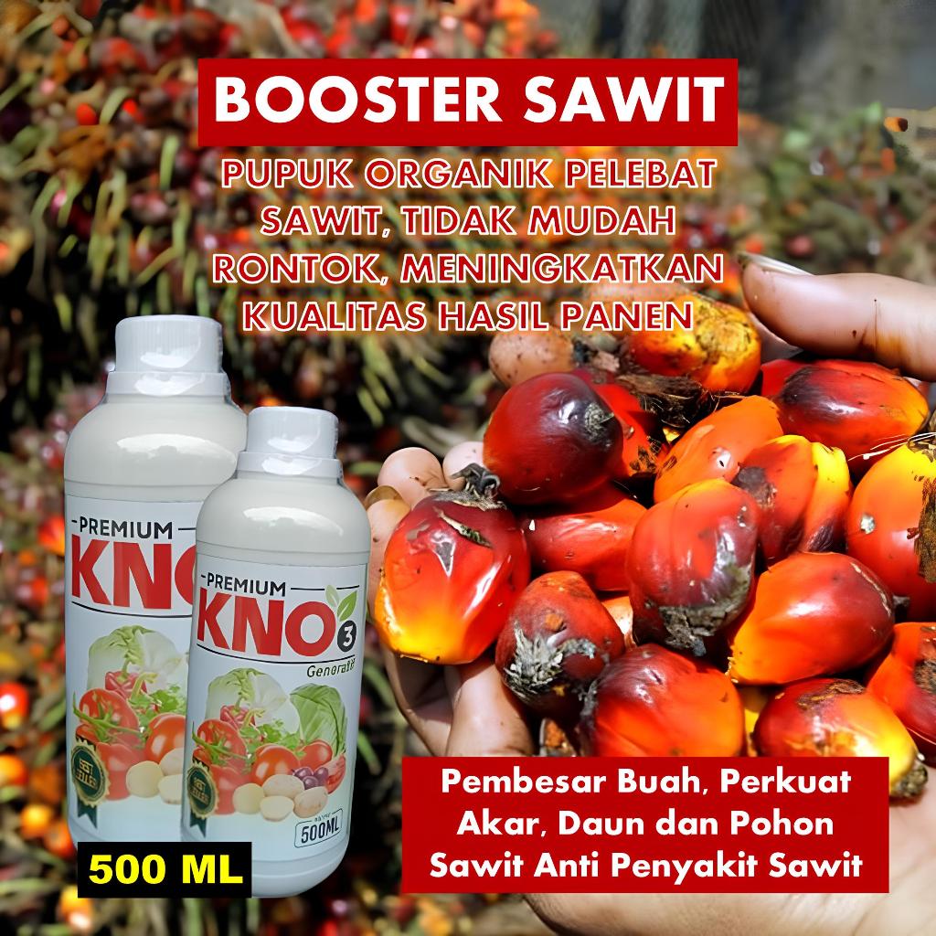 Jual Pupuk Organik Booster Kelapa Sawit PREMIUM KNO3 500 ML Pelebat Pembesar Kelapa Sawit Anti ...