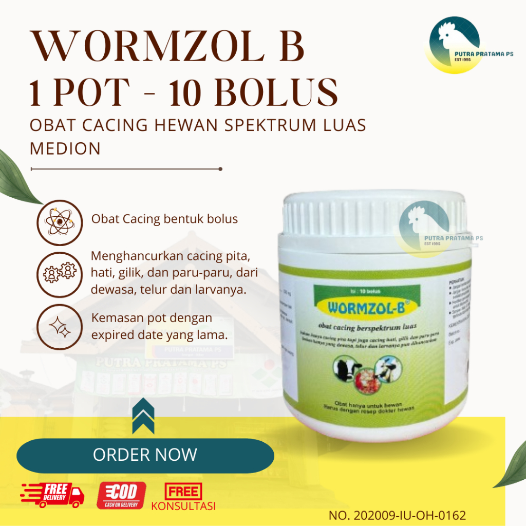 Jual [1 POT] WORMZOL B 10 BOLUS KEMASAN POT - Obat Cacing Cacingan Sapi ...
