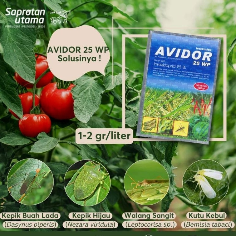 Jual Insektisida Avidor 25 wp 100gram Pembasmi Hama pada tanaman Padi ...