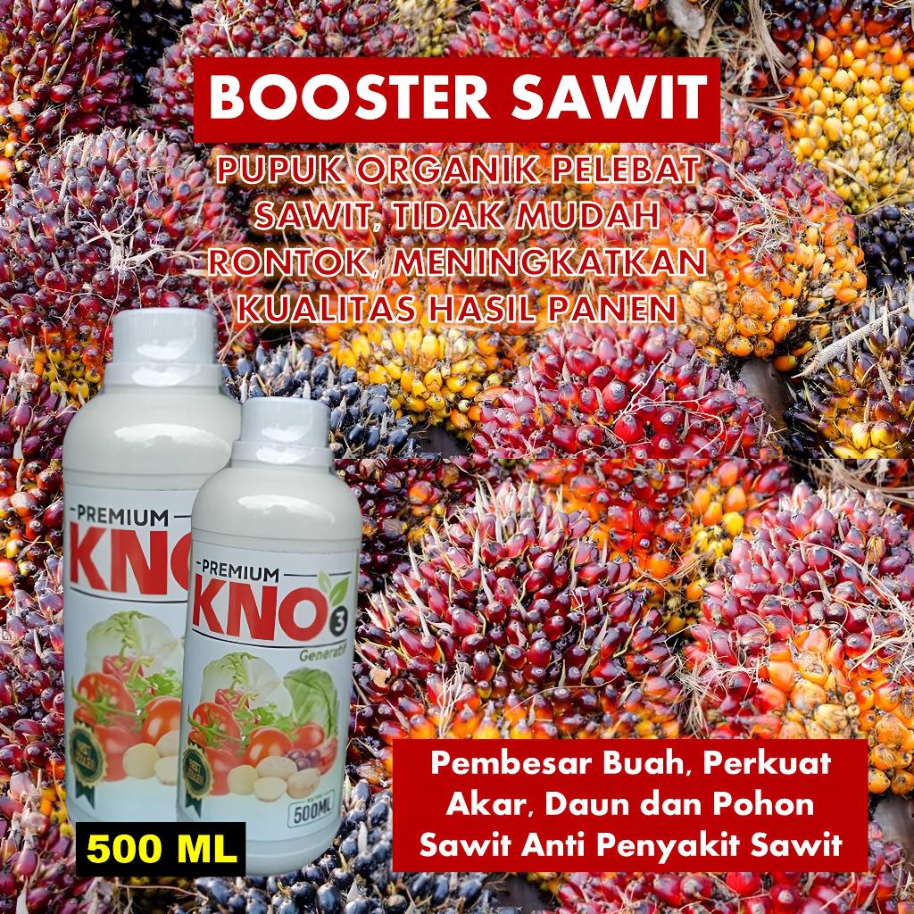 Jual Pupuk booster buah sawit PREMIUM KNO3 bisa melebatkan buah anti rontok termurah bisa cod ...