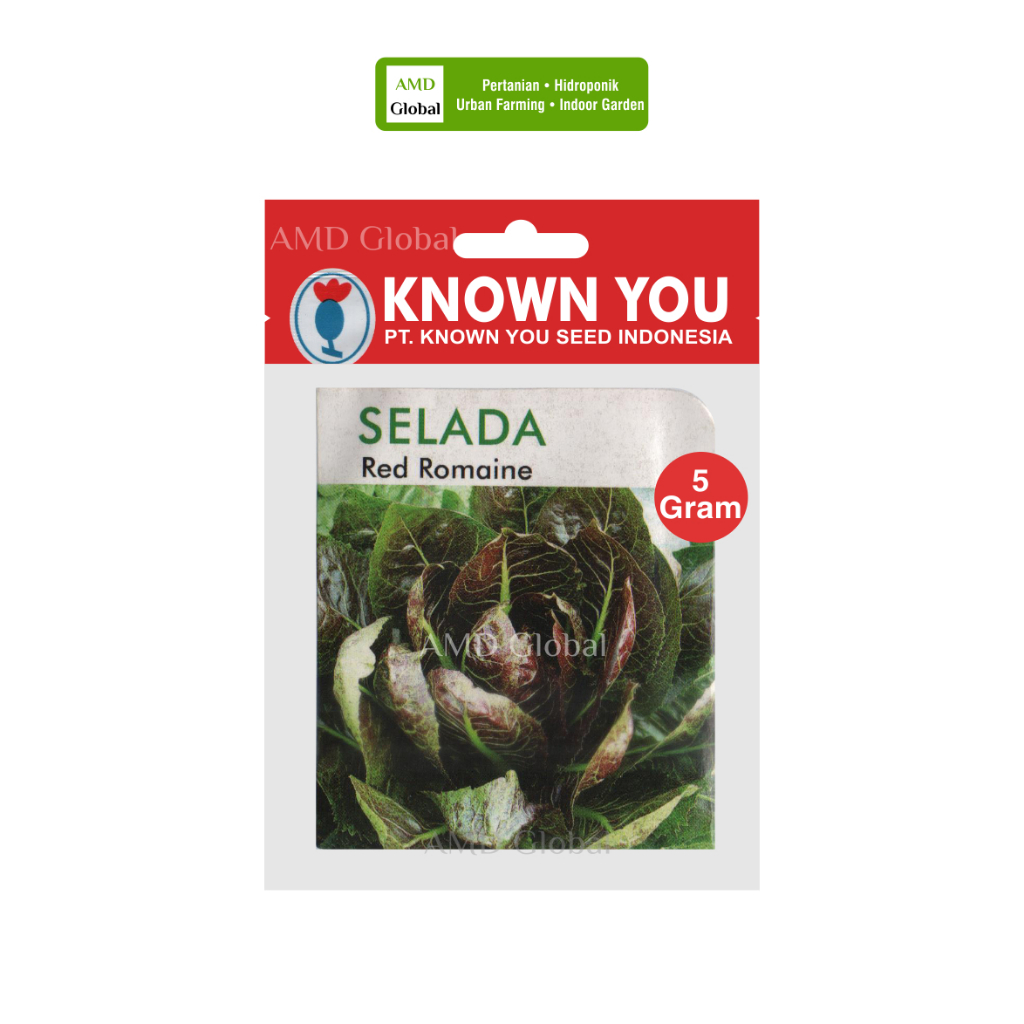 Jual Benih Selada Butterhead Red Romaine Known You Seed Isi 5 Gram | Shopee Indonesia