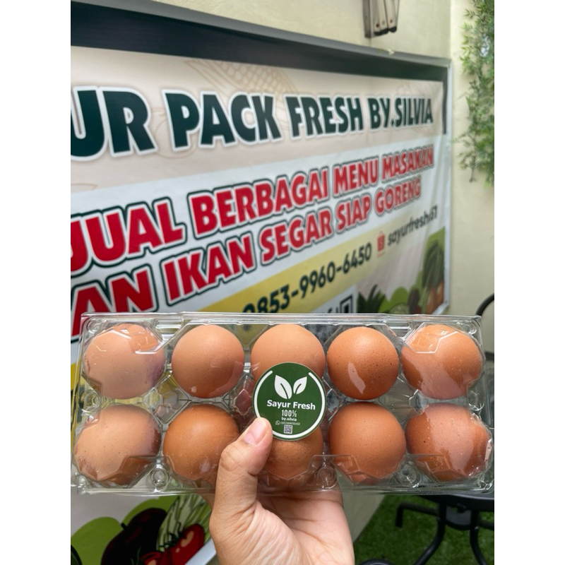 Jual Telor Ayam Negeri isi 10 buah | Shopee Indonesia