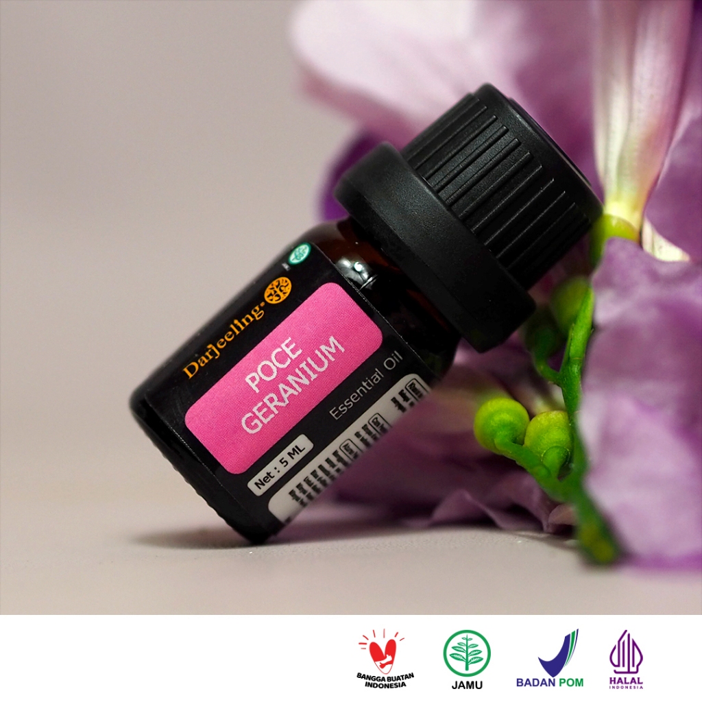 Jual Darjeeling Poce Geranium Pure Essential Oil / Minyak Mawar Geranium Aromaterapi Therapeutic ...