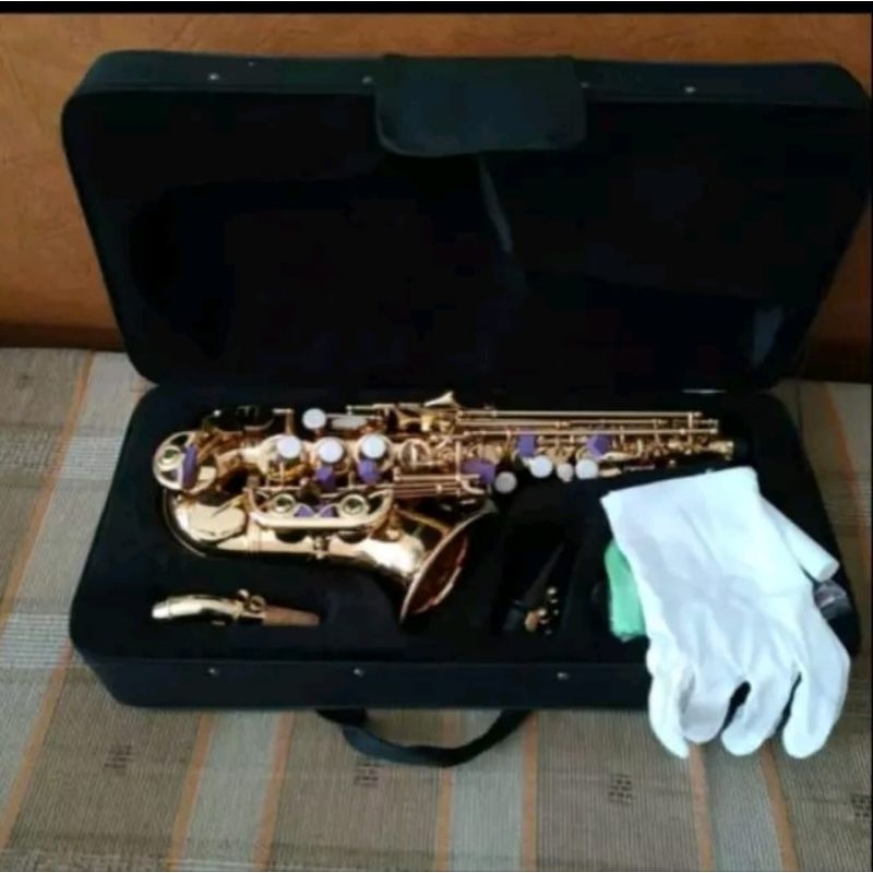 Jual Baby Saxophone Peganini gold series original Best Product | Shopee ...