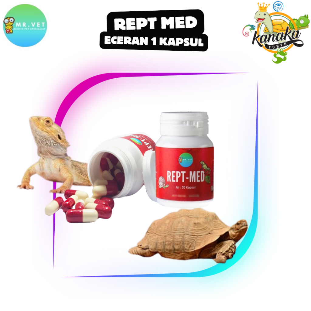 Jual Rept Med PER KAPSUL Obat Pilek Lemas Mencret Reptil Kadal Torto ...