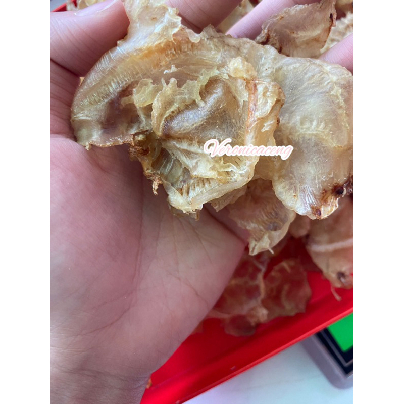 Jual Hipio Besar Super hupio 500G 1KG Gelembung Perut Ikan Manyung Yi ...