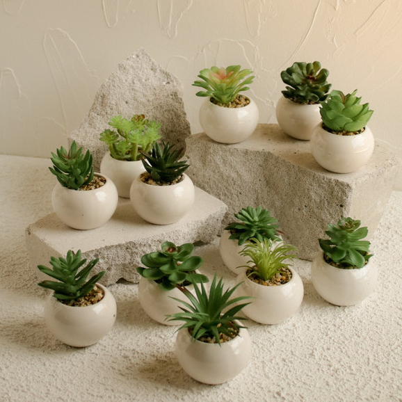 Jual Tirta Cho Blom Collection - Artificial Potted Plant With Pot ...