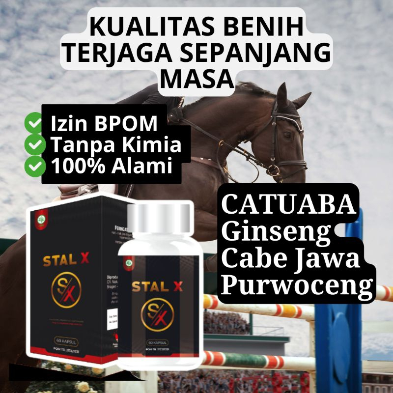Jual Obat Pria Herbal Kapsul Perkasa Tahan Lama BPOM Aman Original ...