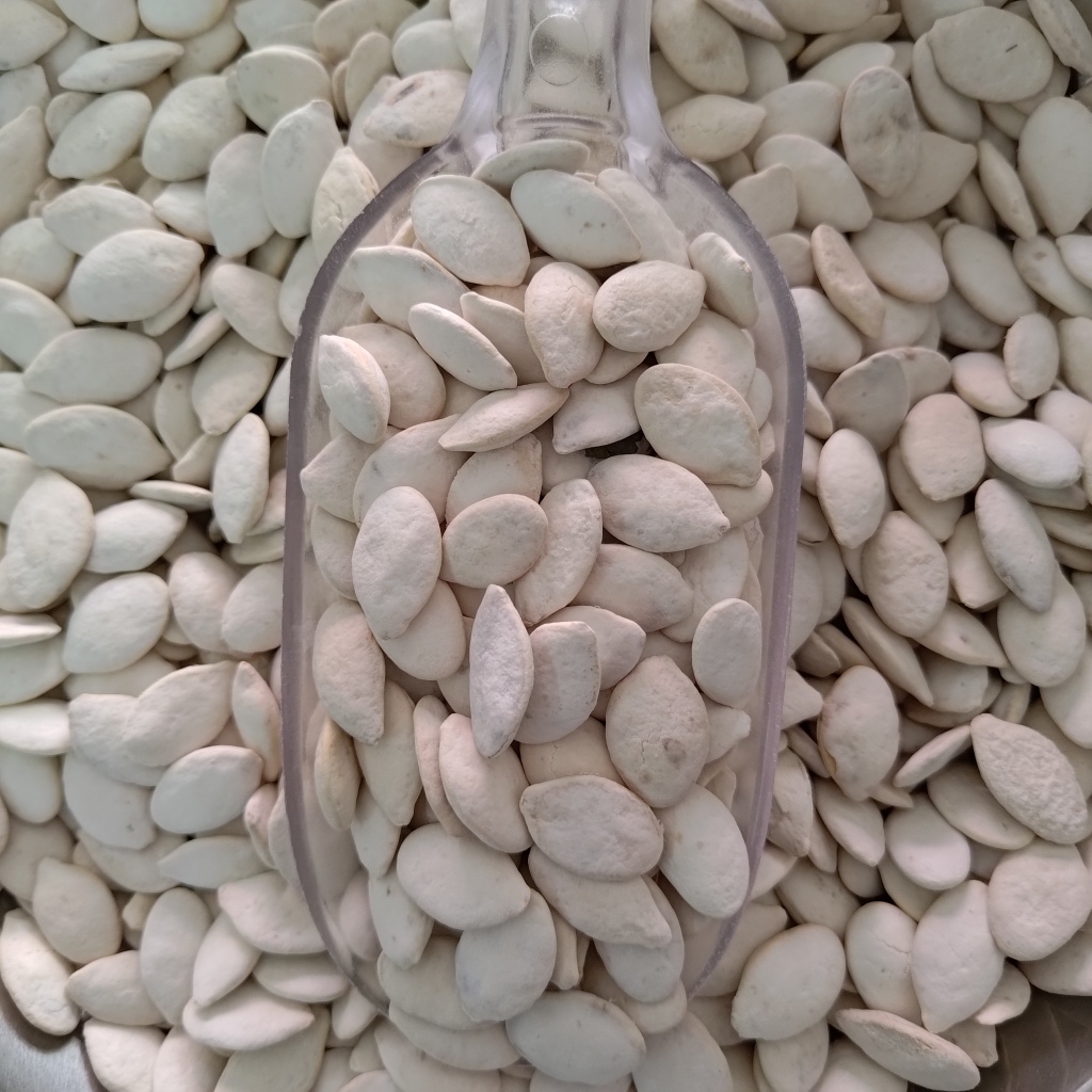 Jual Kuaci Putih 1kg / Kwaci Putih / Biji Labu / Pumpkin Seeds Cemilan ...