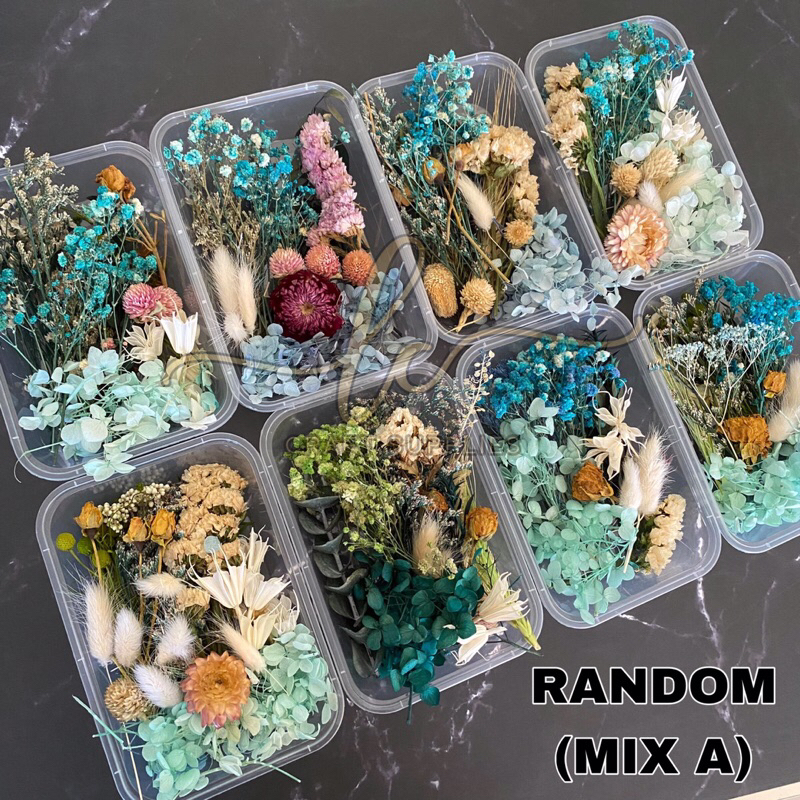 Jual (Random A-O) Bunga Kering Asli Box Real Dry Flowers Import untuk ...