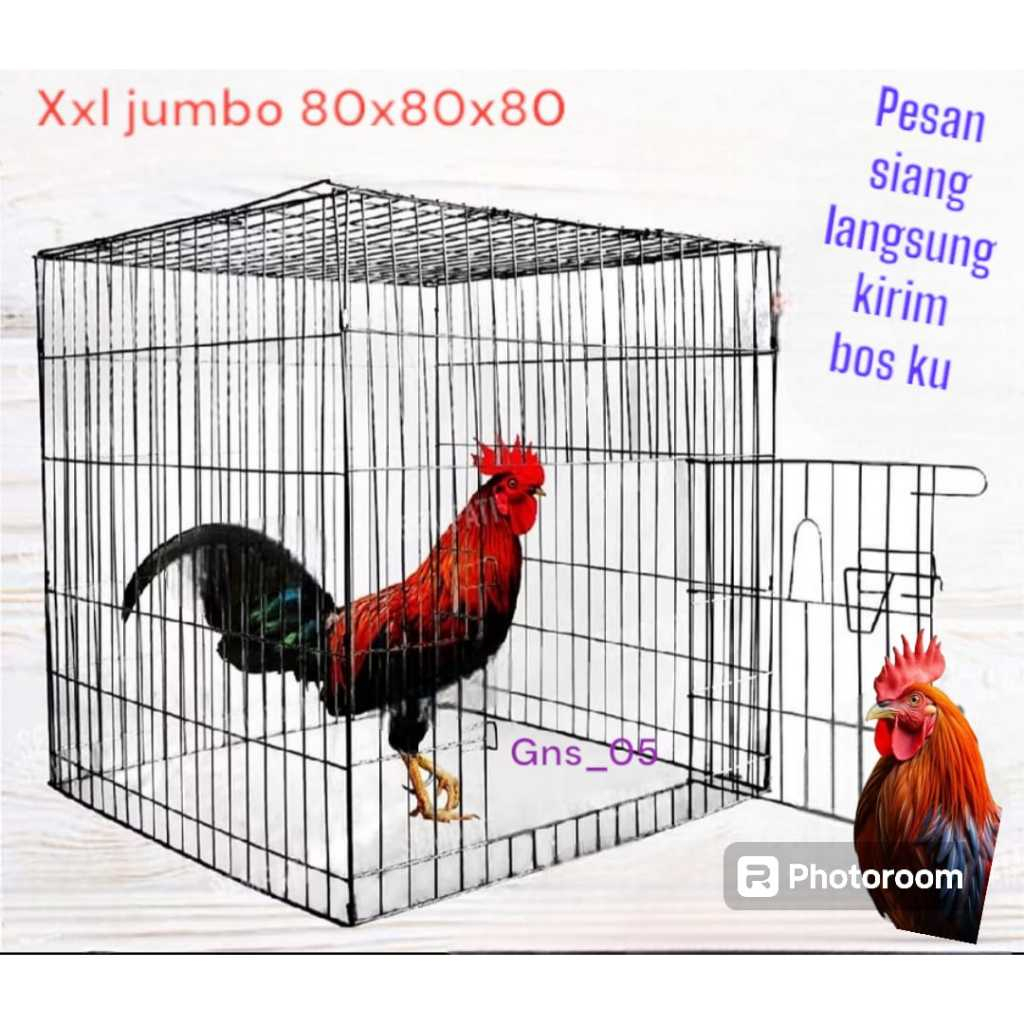 Jual Sangkar Kandang Besi Kotak Kurungan Ayam Jago Laga Aduan Petarung ...