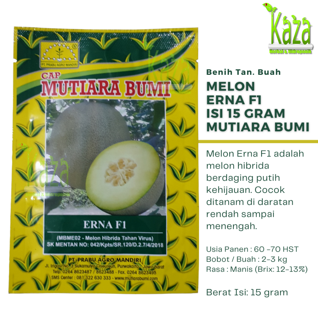 Jual Benih Melon Erna F1 15 gram Daging Buah Putih - Cap Mutiara Bumi ...