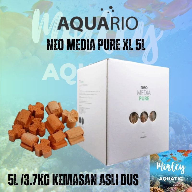 Jual NEO MEDIA PURE XL 5L (KEMASAN ASLI + KOTAK) | Shopee Indonesia
