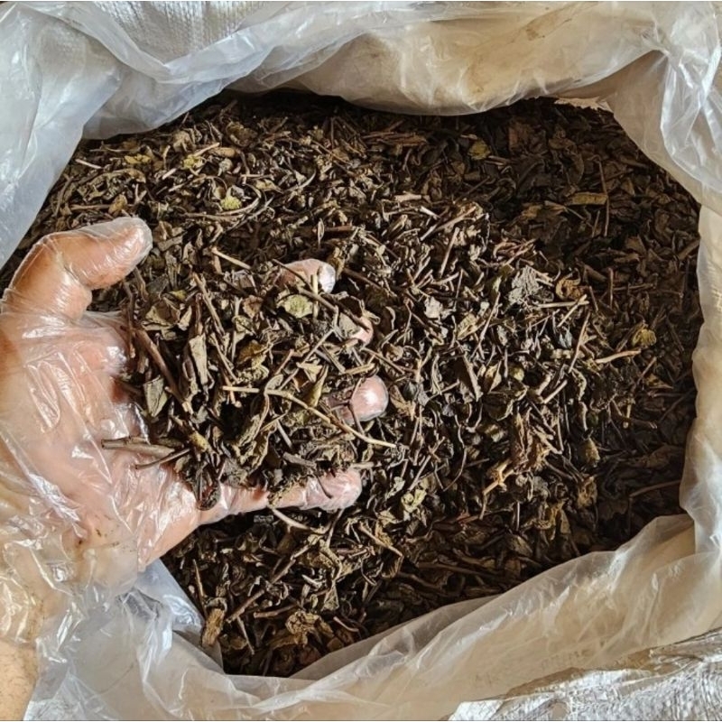 Jual Teh Hitam - Black Tea - Daun Teh Hitam Kering Asli Dan Alami ...