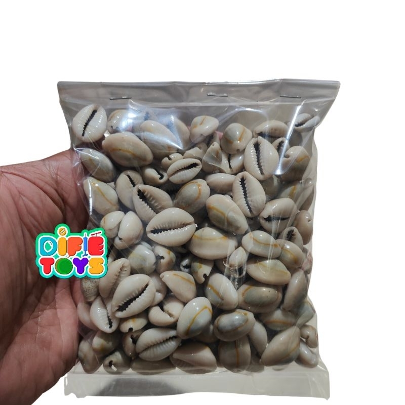 Jual 250 gram (-+150 pcs) KUWUK ASLI Biji congklak kerang asli kuwuk ...