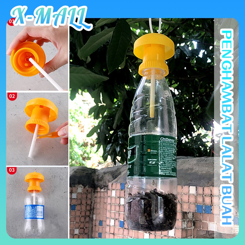 Jual Perangkap Lalat Buah Drosophila Bahan Plastik Warna Kuning Ukuran ...