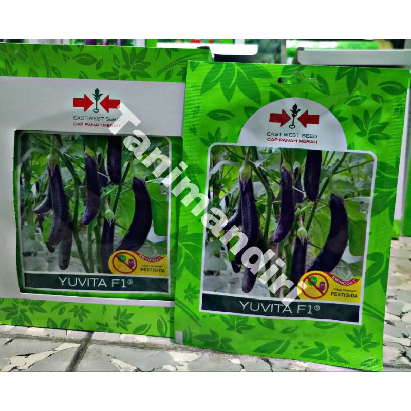 Jual Benih terong Yuvita F1 isi 400 butir | Shopee Indonesia