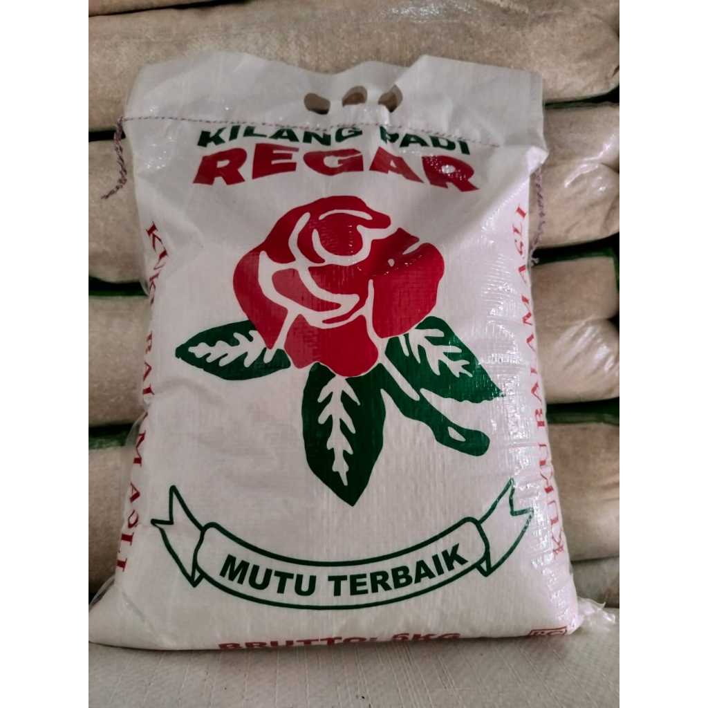 Jual Beras Regar 10KG / Beras Putih / Beras Makan / COD / Instan ...