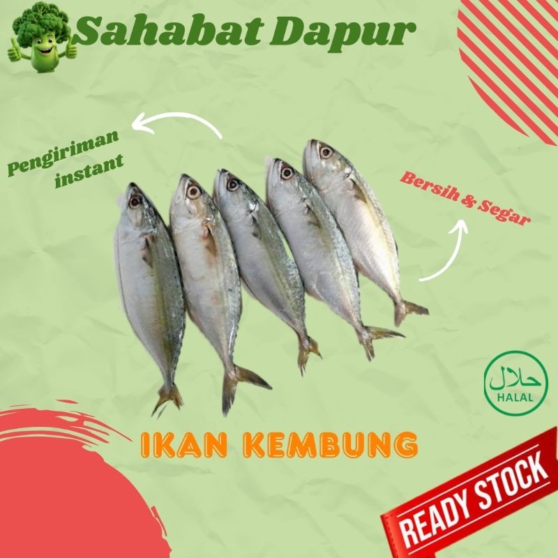Jual Ikan Kembung fresh - Ikan segar - Sahabat Dapur Delivery | Shopee ...