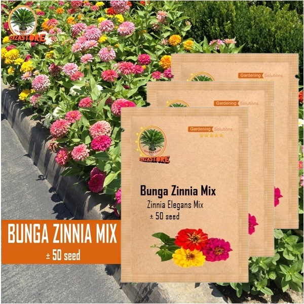 Jual Biji Benih Bibit Bunga Zinnia Elegans Mix Unggul | Shopee Indonesia
