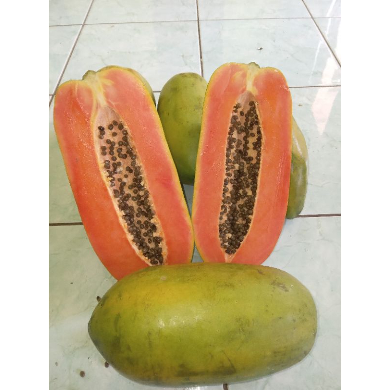 Jual Buah Pepaya California Premium Fresh Manis | Shopee Indonesia