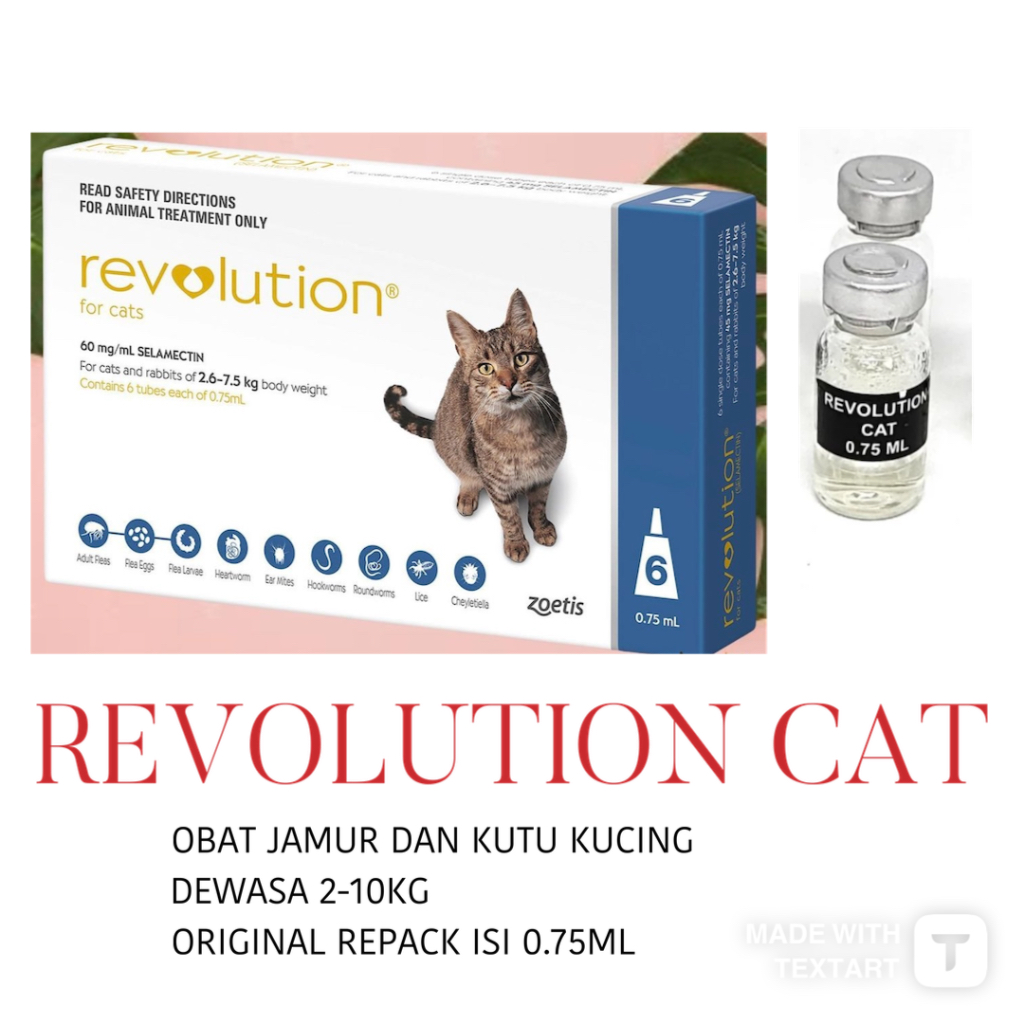 Jual REVOLUTION CAT - Share In Jare Adult Obat Kutu Kucing REPACK ...