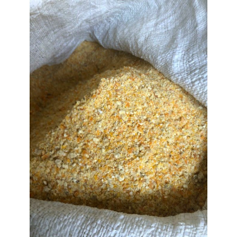 Jual Jagung Selep Pakan Hewan Ternak 10 Kg Jagung Giling | Shopee Indonesia