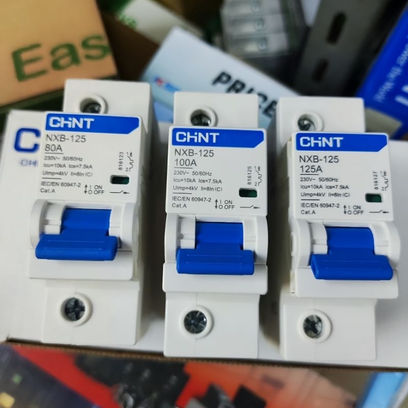 Jual MCCB MINI CHINT NXB125 1P 80A 100A 125A 10KA CHINT ELECTRIC | Shopee Indonesia