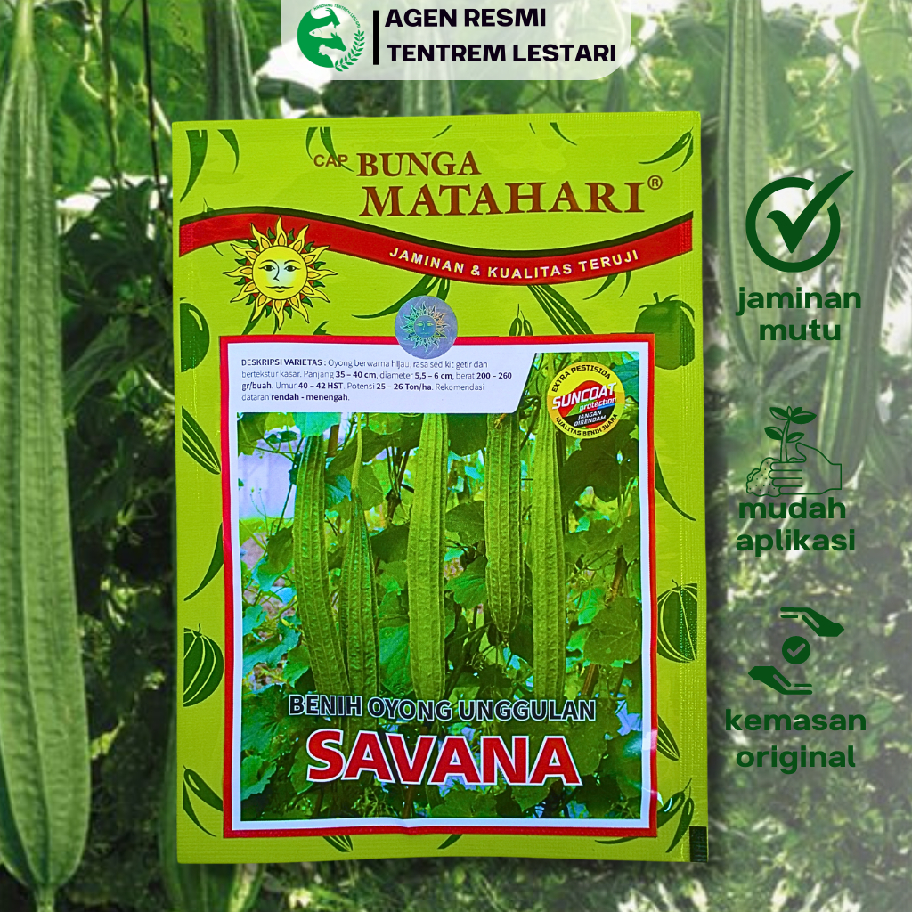 Jual Benih Oyong / Gambas Unggulan SAVANA 10 gram Asli Cap Bunga ...