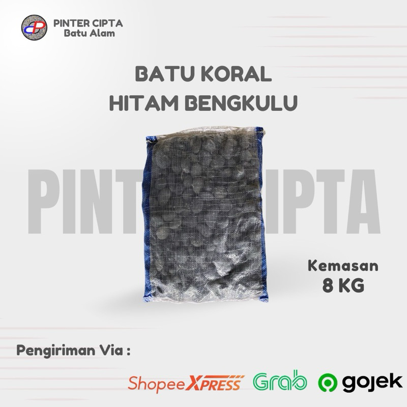 Jual BATU HIAS KORAL HITAM BENGKULU (8 Kg) GROSIR! | Shopee Indonesia