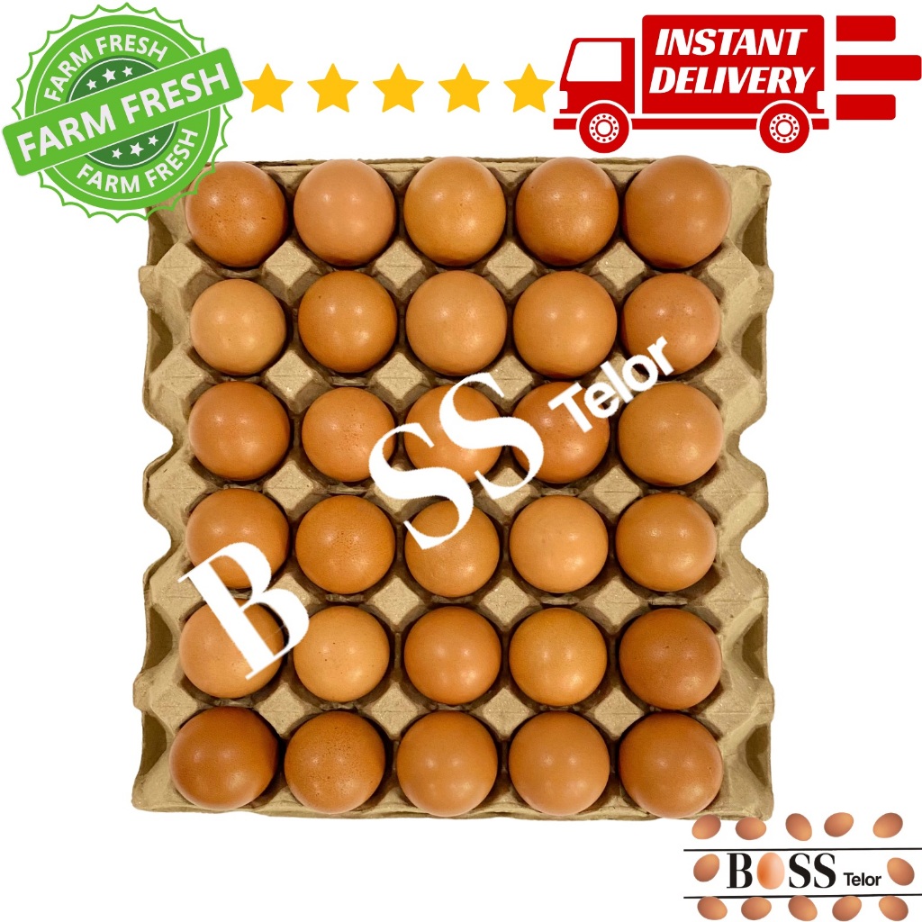 Jual Telur Ayam Negri isi 30 butir ( +/- 2 kg) | Shopee Indonesia