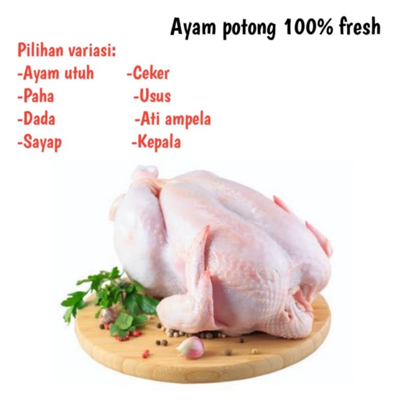 Jual ANEKA AYAM POTONG SEGAR PILIHAN 1KG/AYAM BROILER/PAHA AYAM/DADA ...