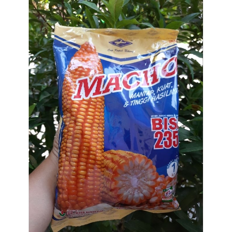 Jual Benih bibit jagung BISI 235 MACHO 1 kg original exp Juli 2025 ...