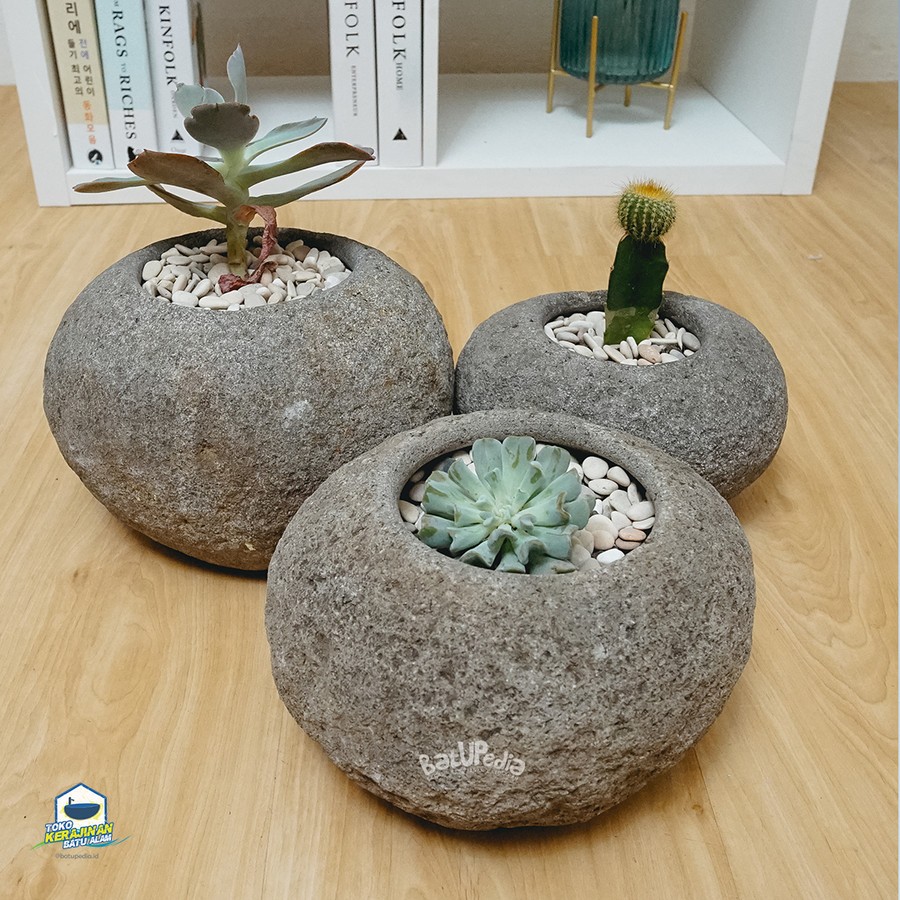 Jual Pot Batu Alam - Untuk Tanaman Hias Bagus Dan Natural | Shopee ...