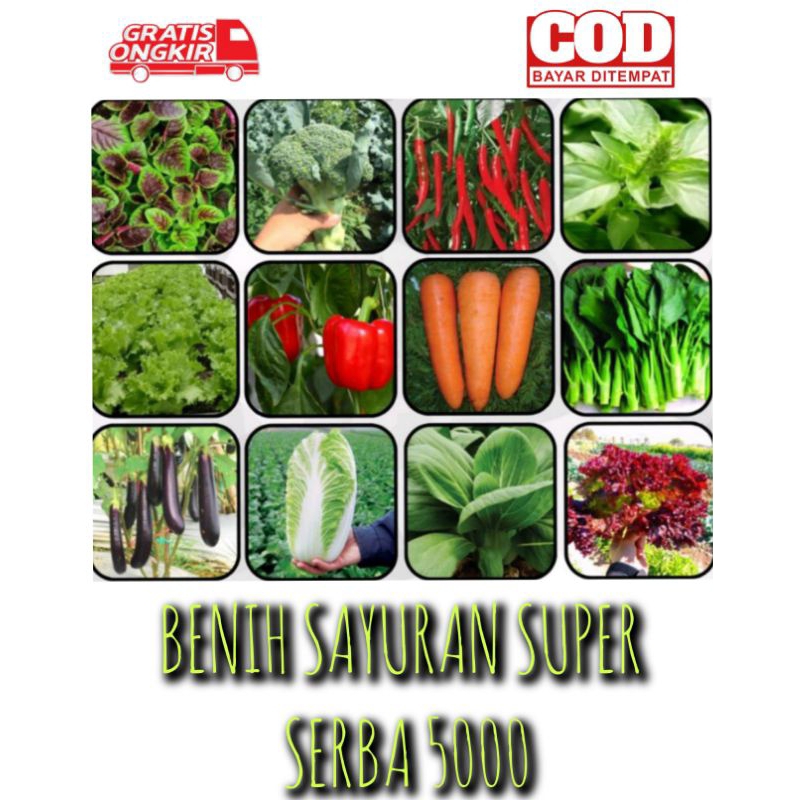 Jual BENIH SAYURAN SUPER SERBA 5000 COCOK UNTUK RUMAHAN | Shopee Indonesia