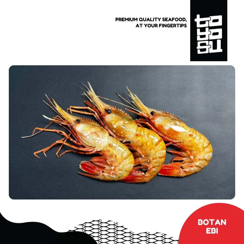 Jual SASHIMI BOTAN EBI - FROZEN UDANG BOTAN - JAPAN PRAWN BOTAN ...