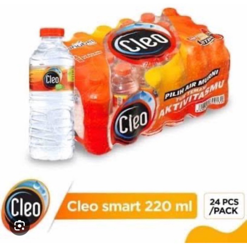 Jual Cleo botol mini isi 24/botol cleo 220ml/cleo botol kecil/ air ...