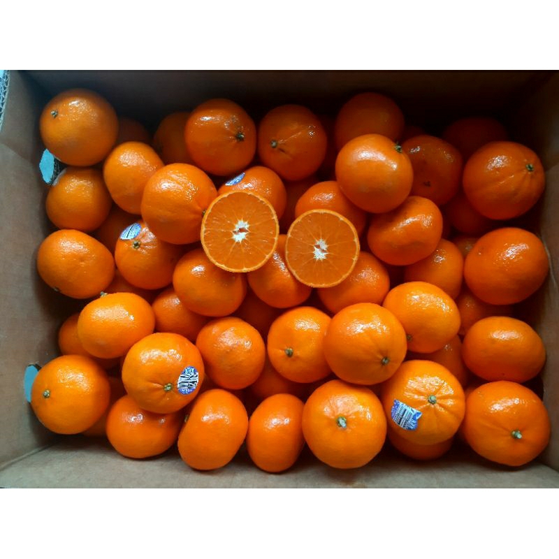 Jual Buah Jeruk Royal Honey Murcot baby Australia (250gr) | Shopee ...