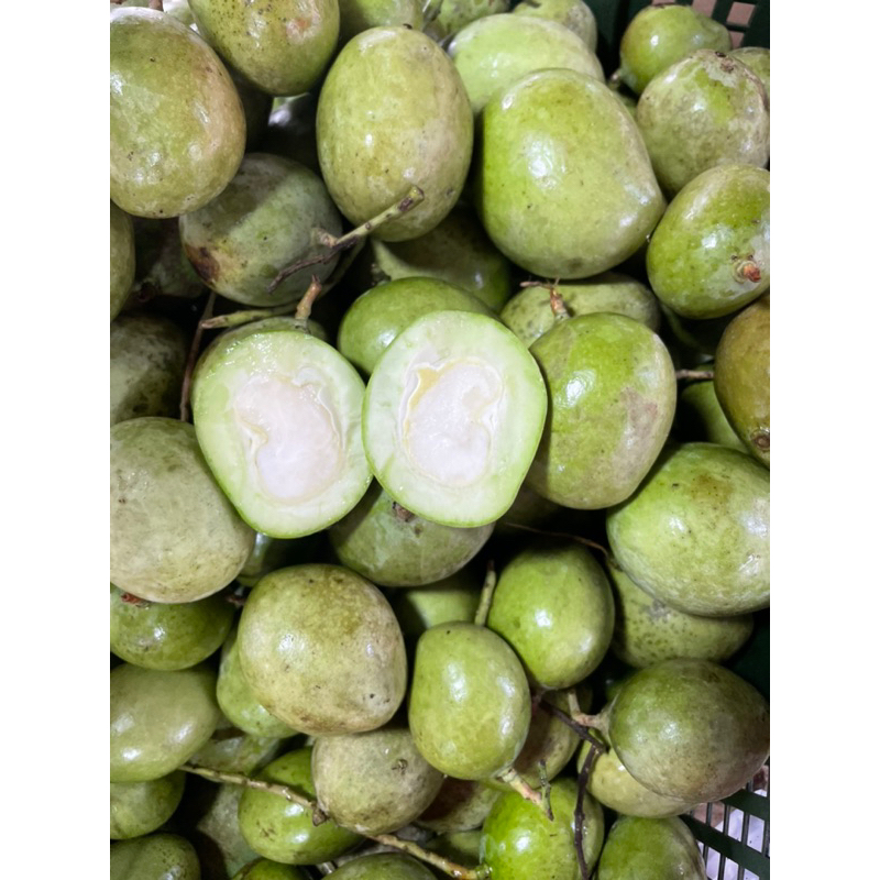 Jual 1KG mangga telor belah biji untuk rujakan asinan dan sambal ...